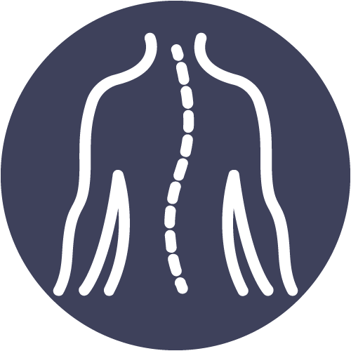 Back Physical Therapy Brooklyn NYC — Evolve PT