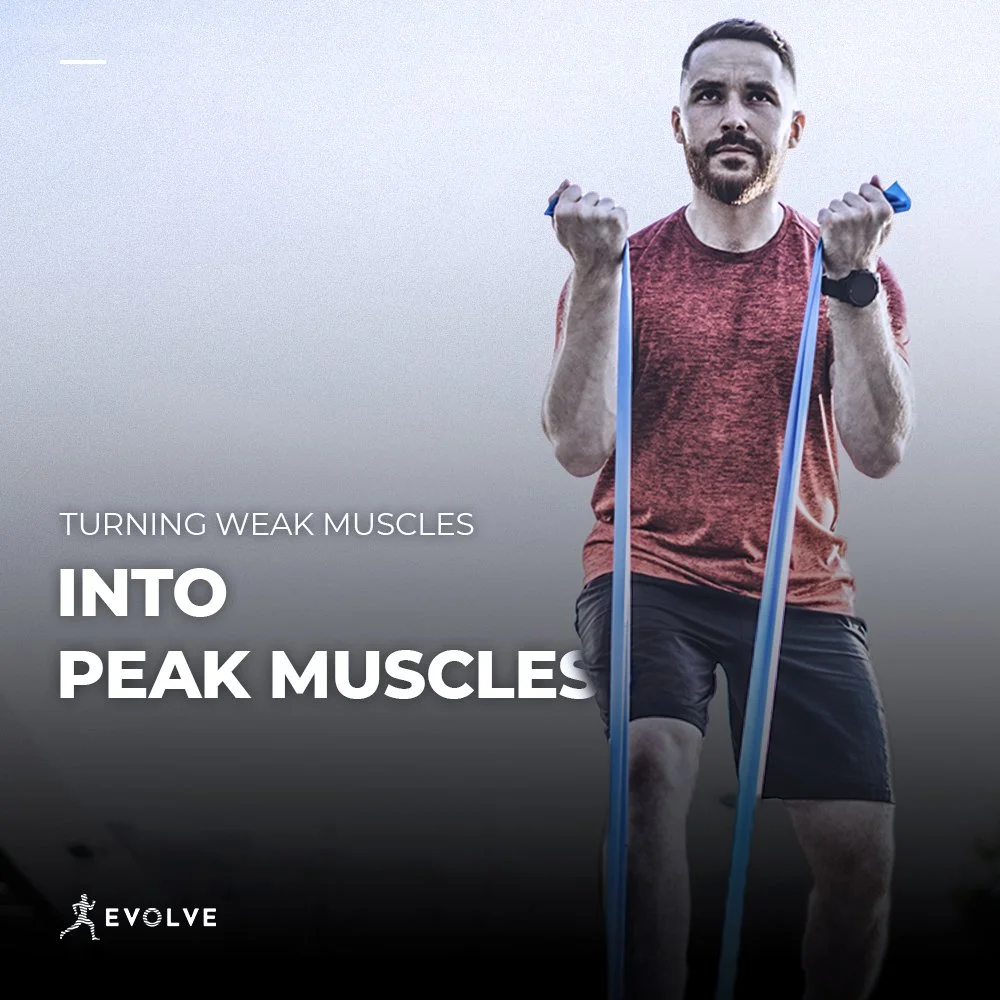 Turning Weak Muscles Into Peak Muscles — Physical Therapy in Brooklyn ...