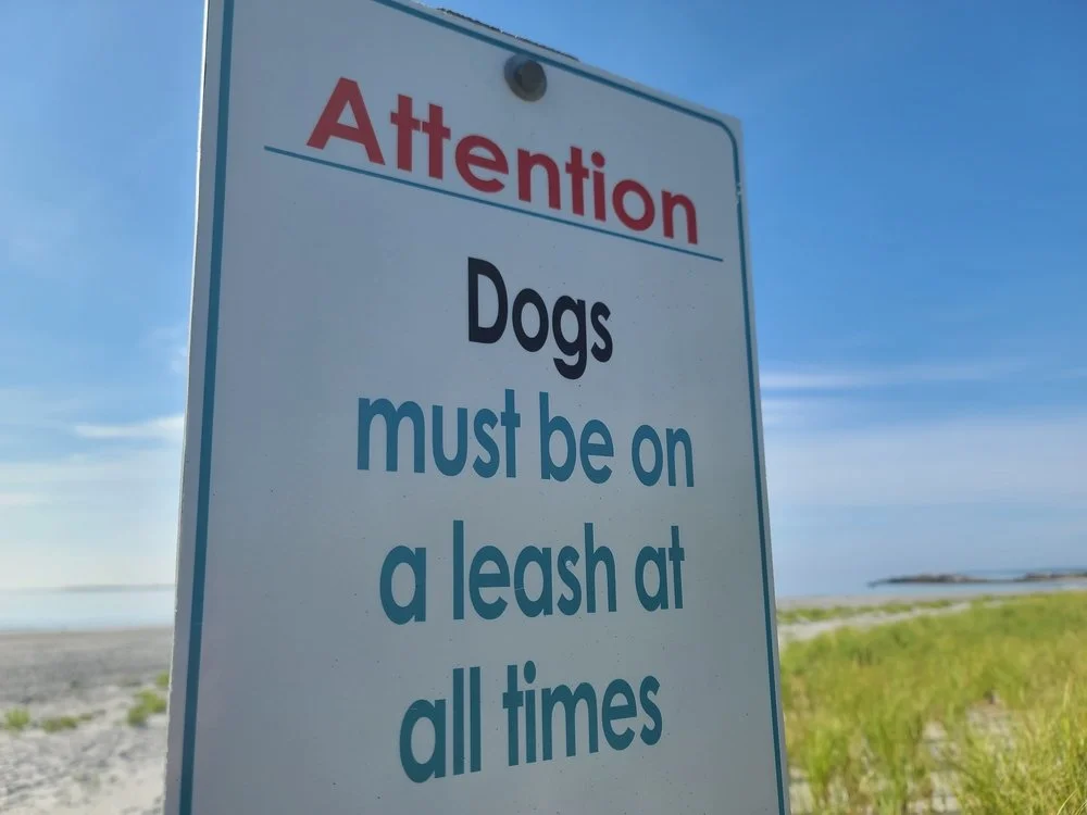 Overview of Dog Bite Laws