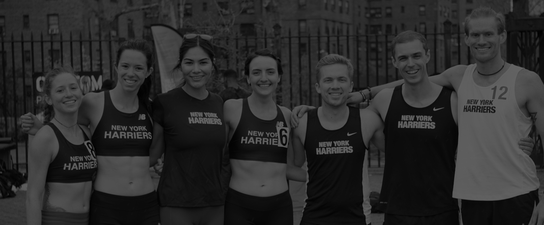 New York Harriers