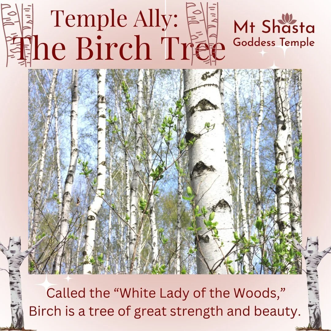 Mt Shasta Goddess Temple Spiritual Services — Mt Shasta Goddess Temple