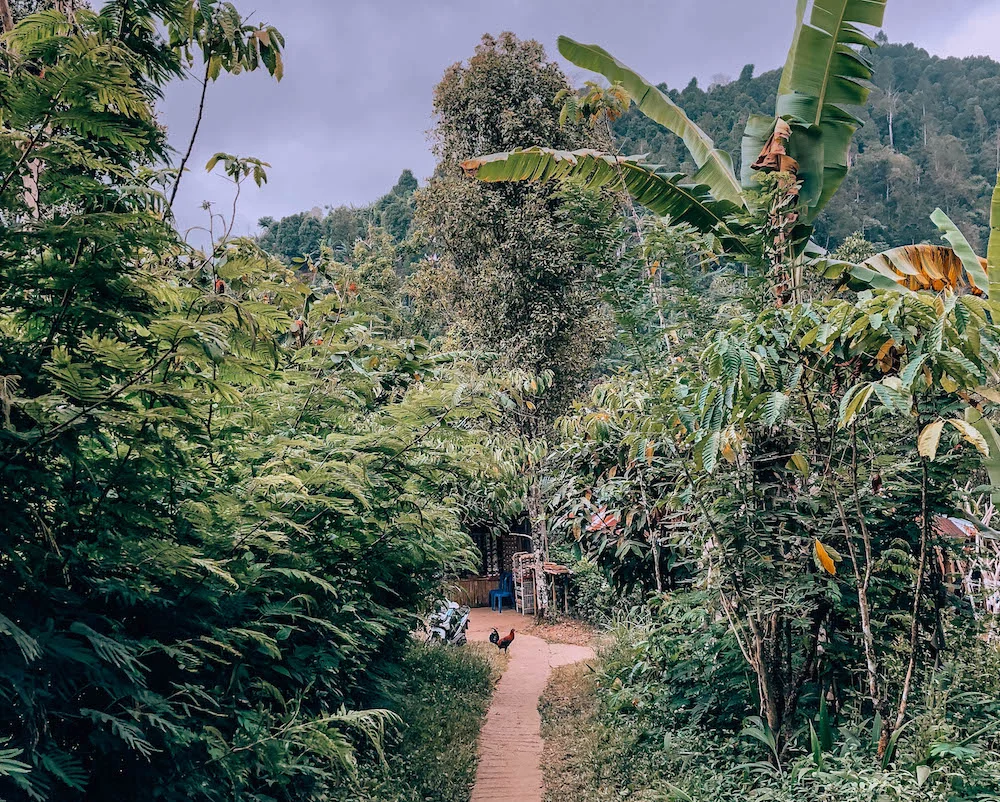 North Bali Guide — The Wayfaress