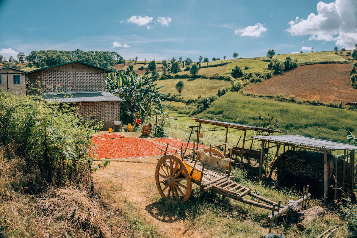 Myanmar: 7 Reasons not to miss an Inle Lake trek & Tips For When you go ...