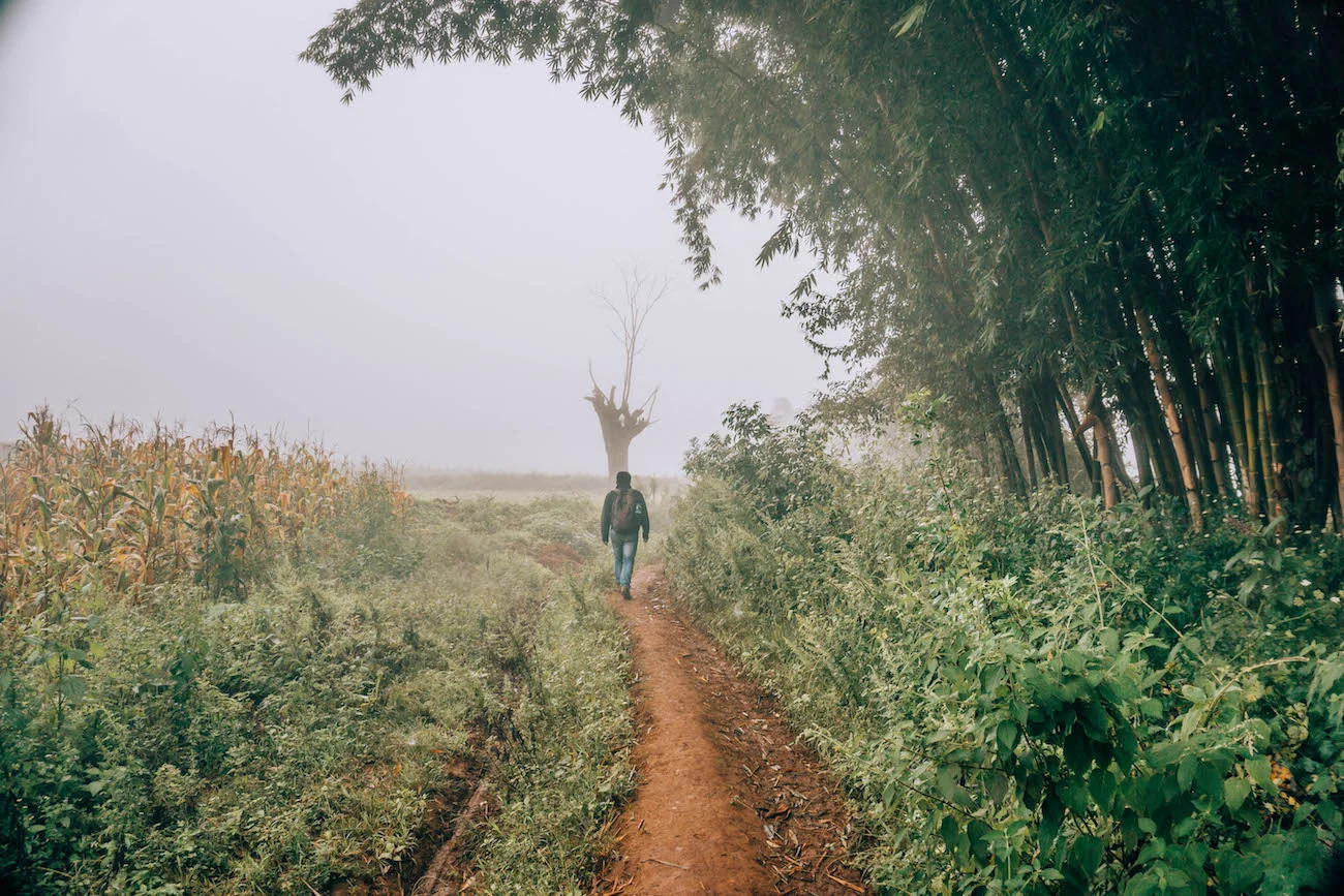 Myanmar: 7 Reasons not to miss an Inle Lake trek & Tips For When you go ...