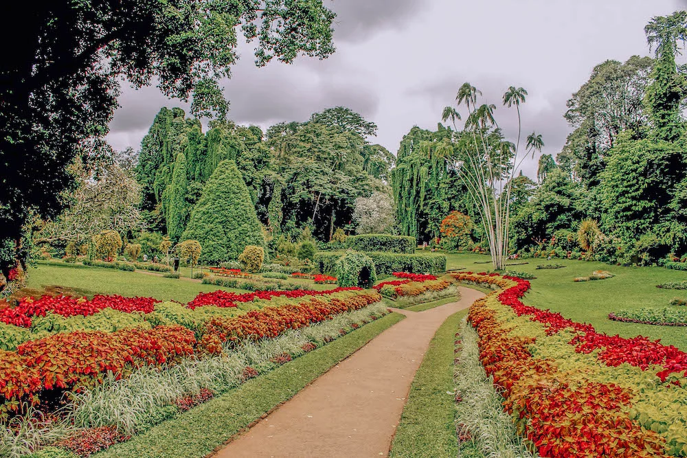 9 Best Things To Do In Kandy, Sri Lanka — The Wayfaress