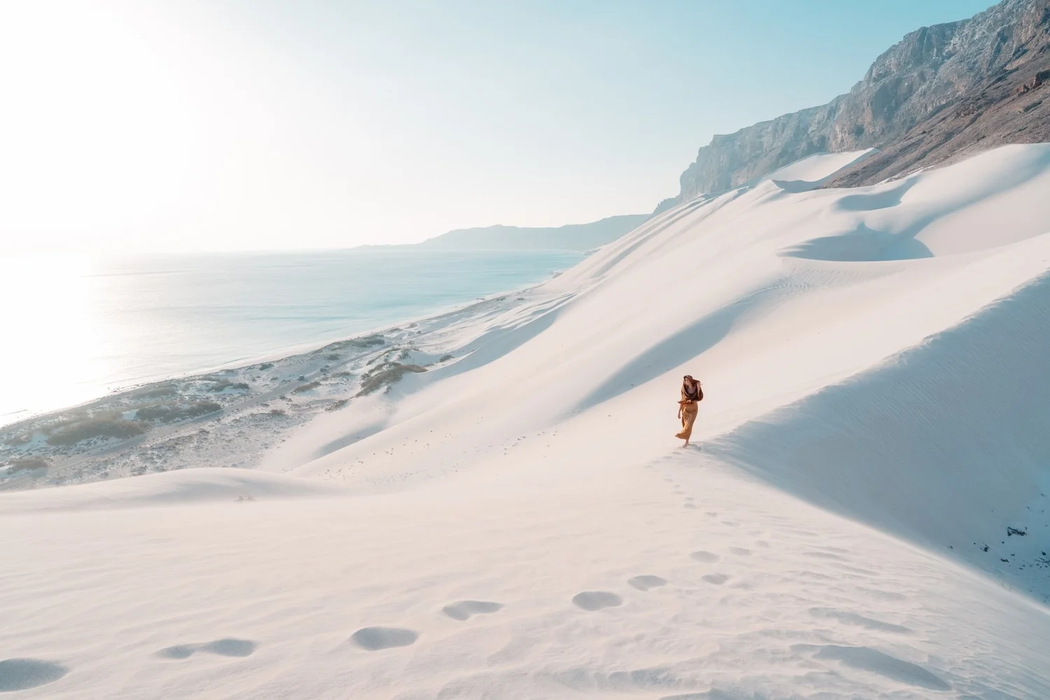 The Ultimate Travel Guide To Socotra Island What You Need To Know