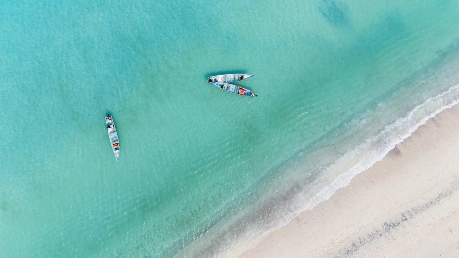 The Ultimate Travel Guide to Socotra Island: What You Need to Know ...