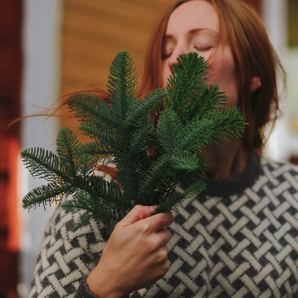 Närodlat granris till våra kransar & workshops — Fiddekulla Trädgård