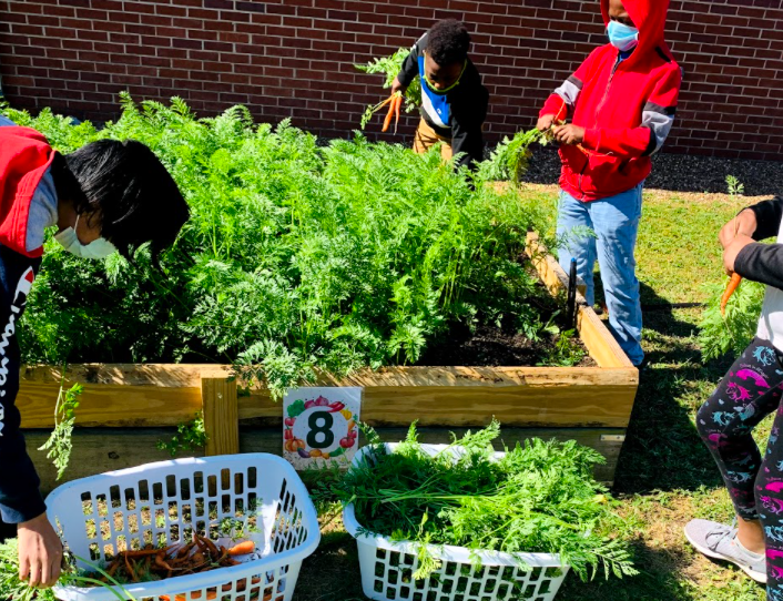 Community Urban Farm — Flint River Fresh