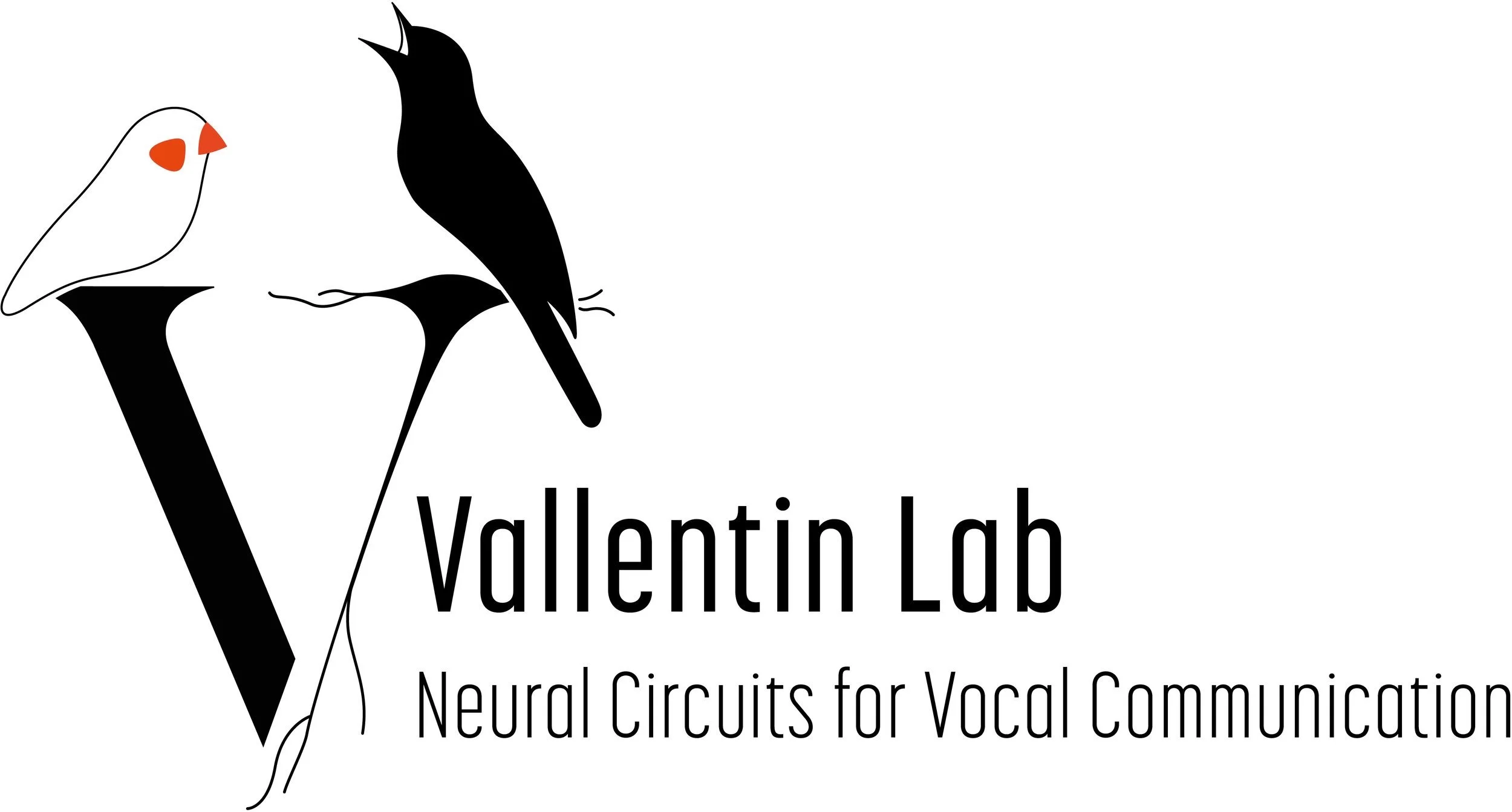 Vallentin Lab