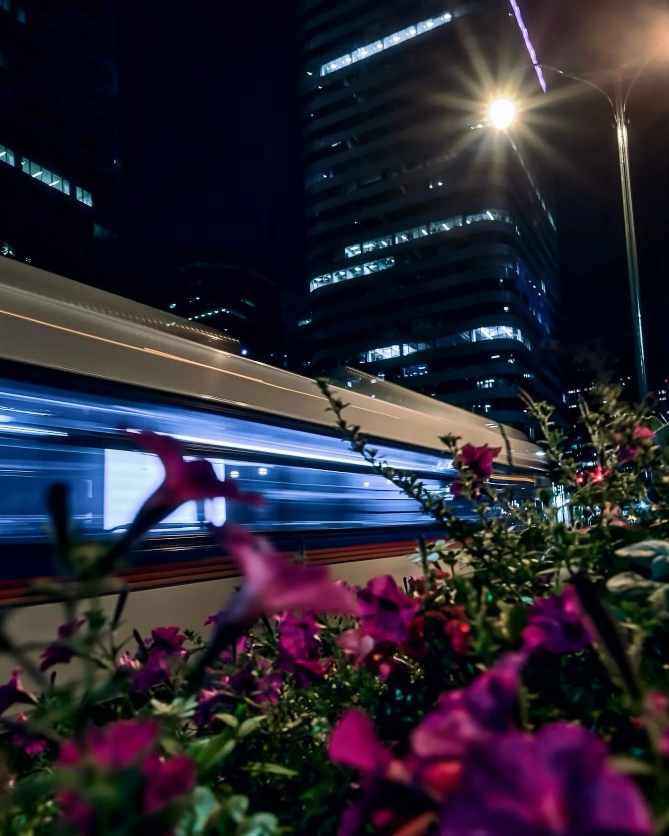 Neo's Photography