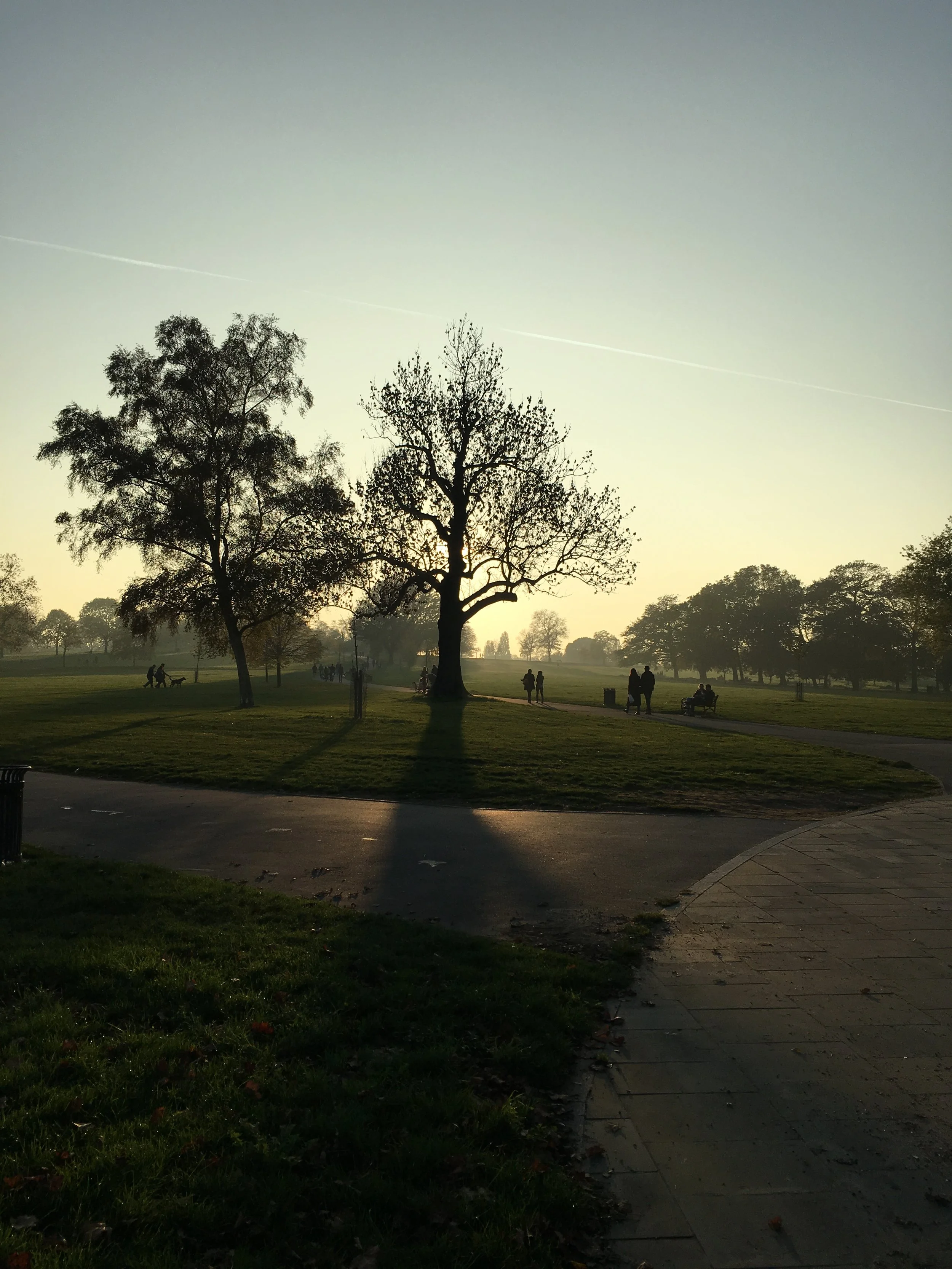 Overview — Dulwich Runners