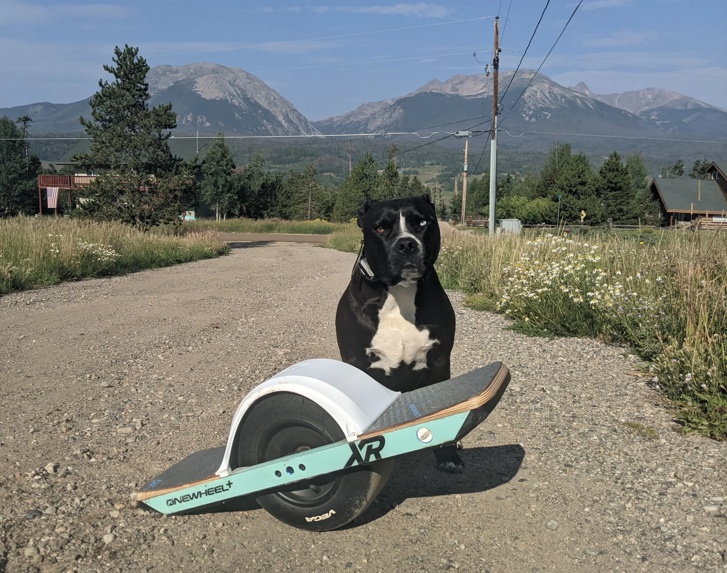 Is A Onewheel Good Exercise? — Do It At Your Desk