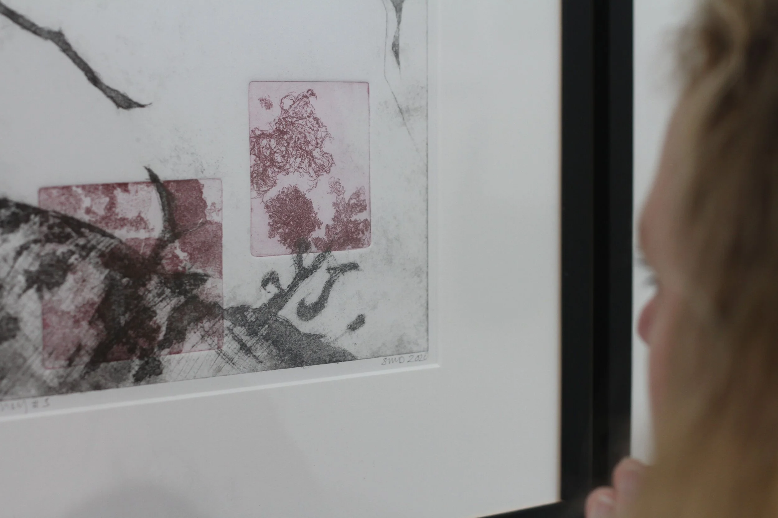 Imprints and windows — Stephanie Draper