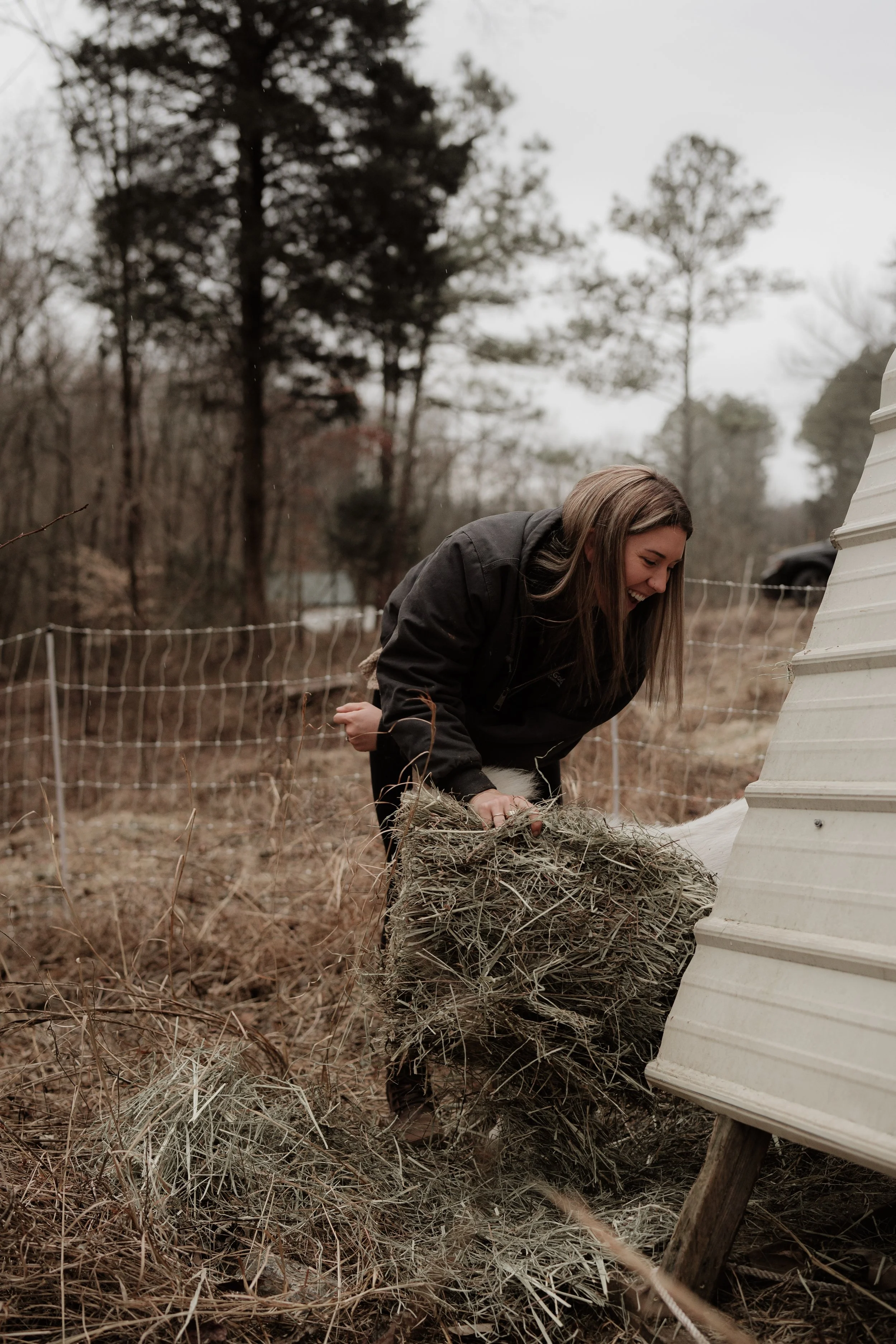 Gallery — Heritage and Homestead Films