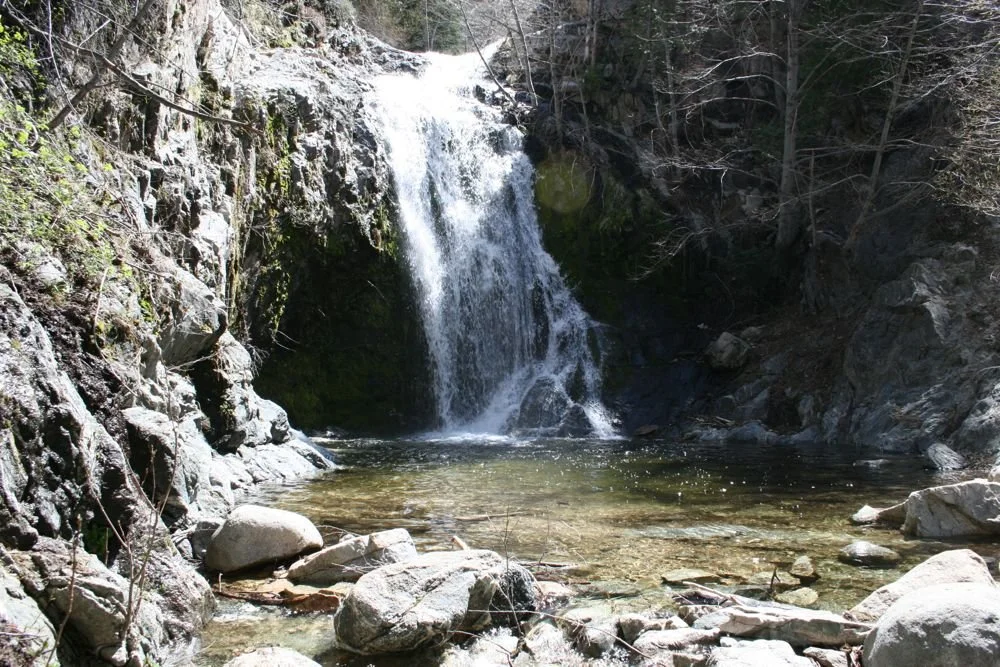 Cooper Canyon Falls w/ Daniel Holschneider {Psychiatry & Behavioral ...