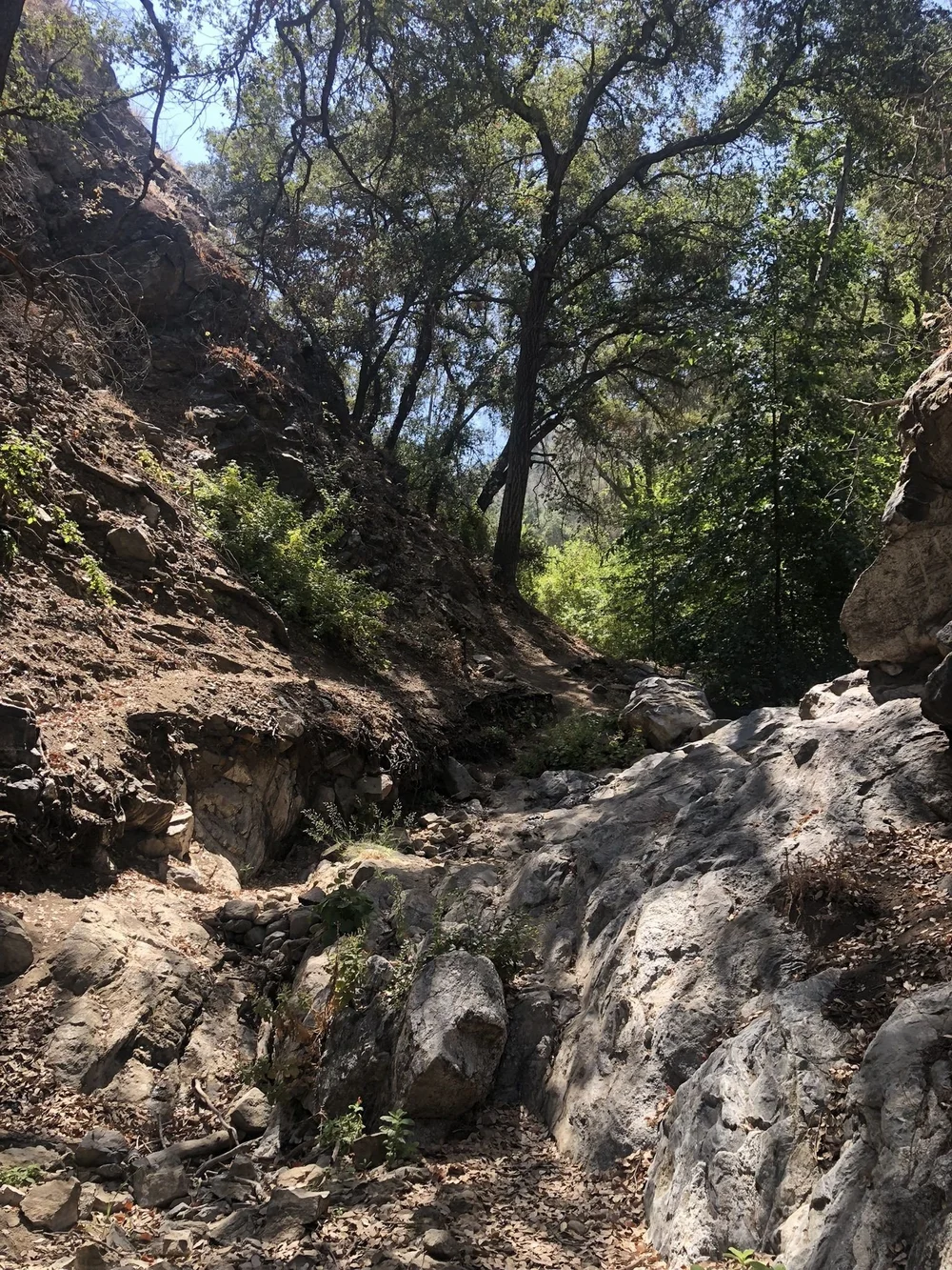 Malaga Lunada Palos Verdes Hike w/ Teal Eich {Gerontology and ...