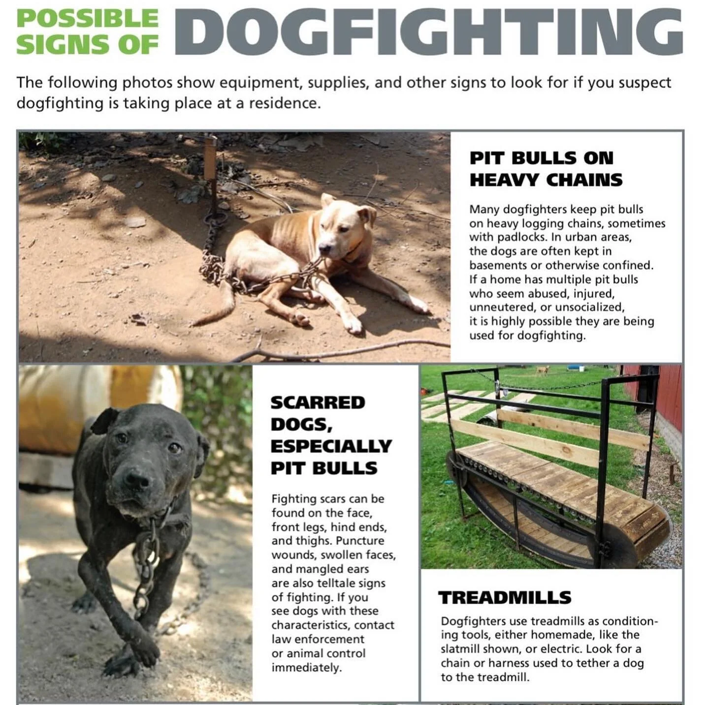 What Are The Signs Of Dog Fighting