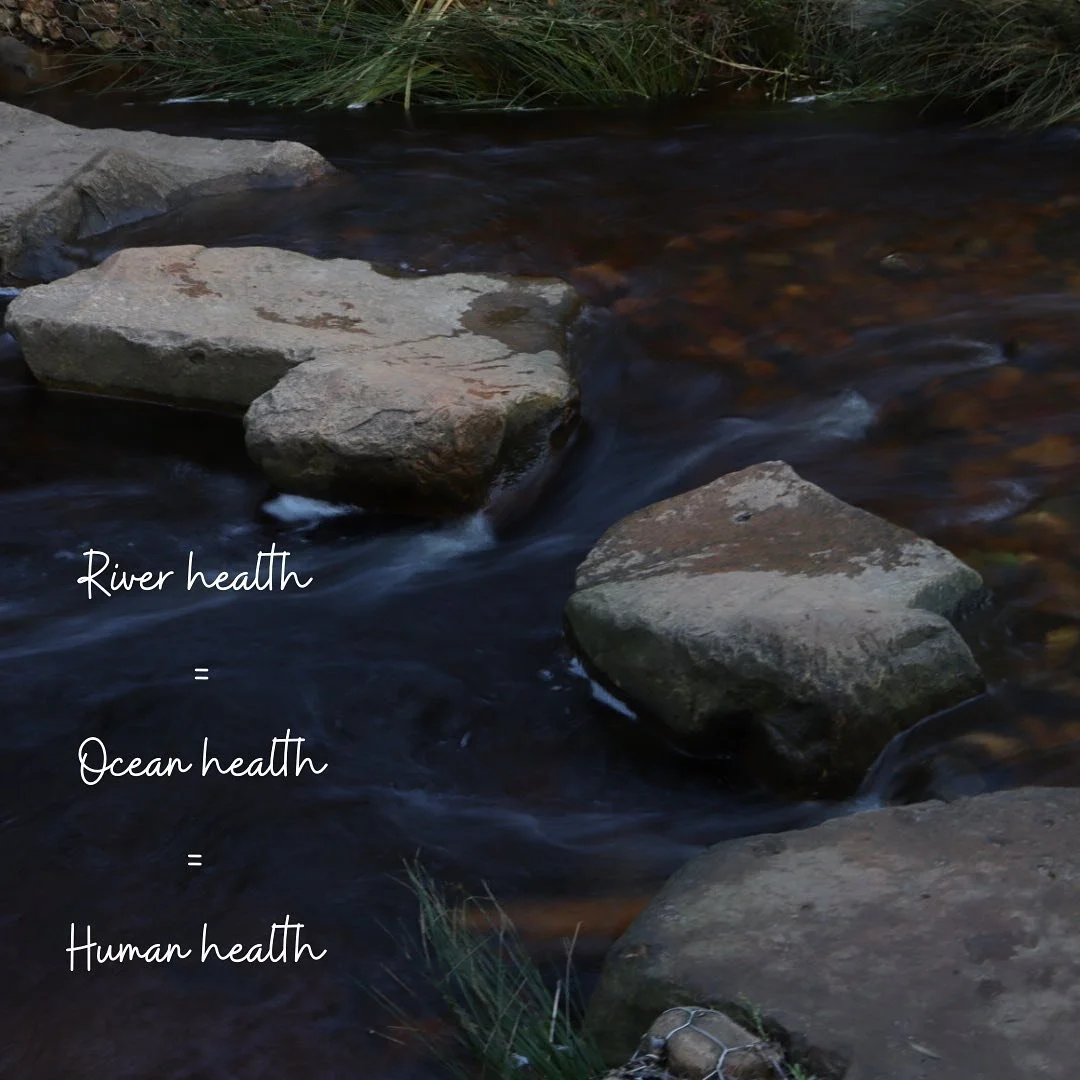 I AM WATER Ocean Conservation