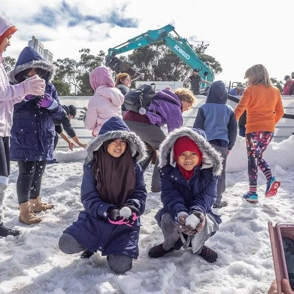 Snowflakes in Stanthorpe