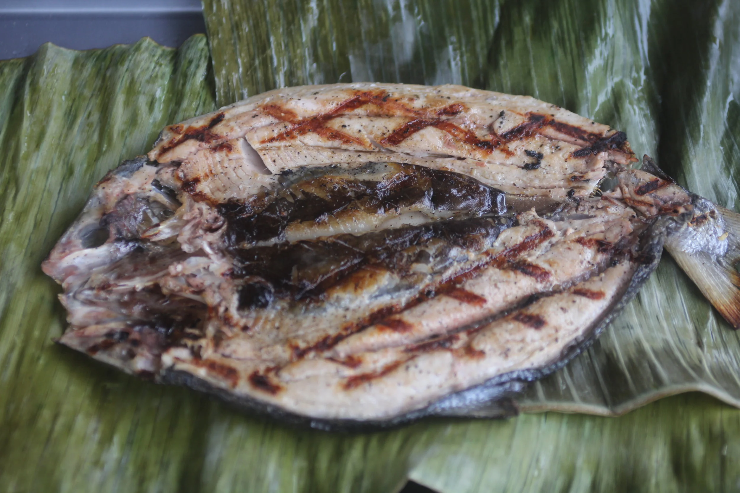 Inihaw Na Bangus