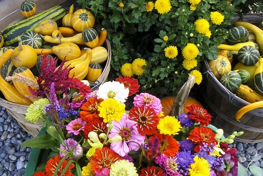 Visit — Crossroad Farm