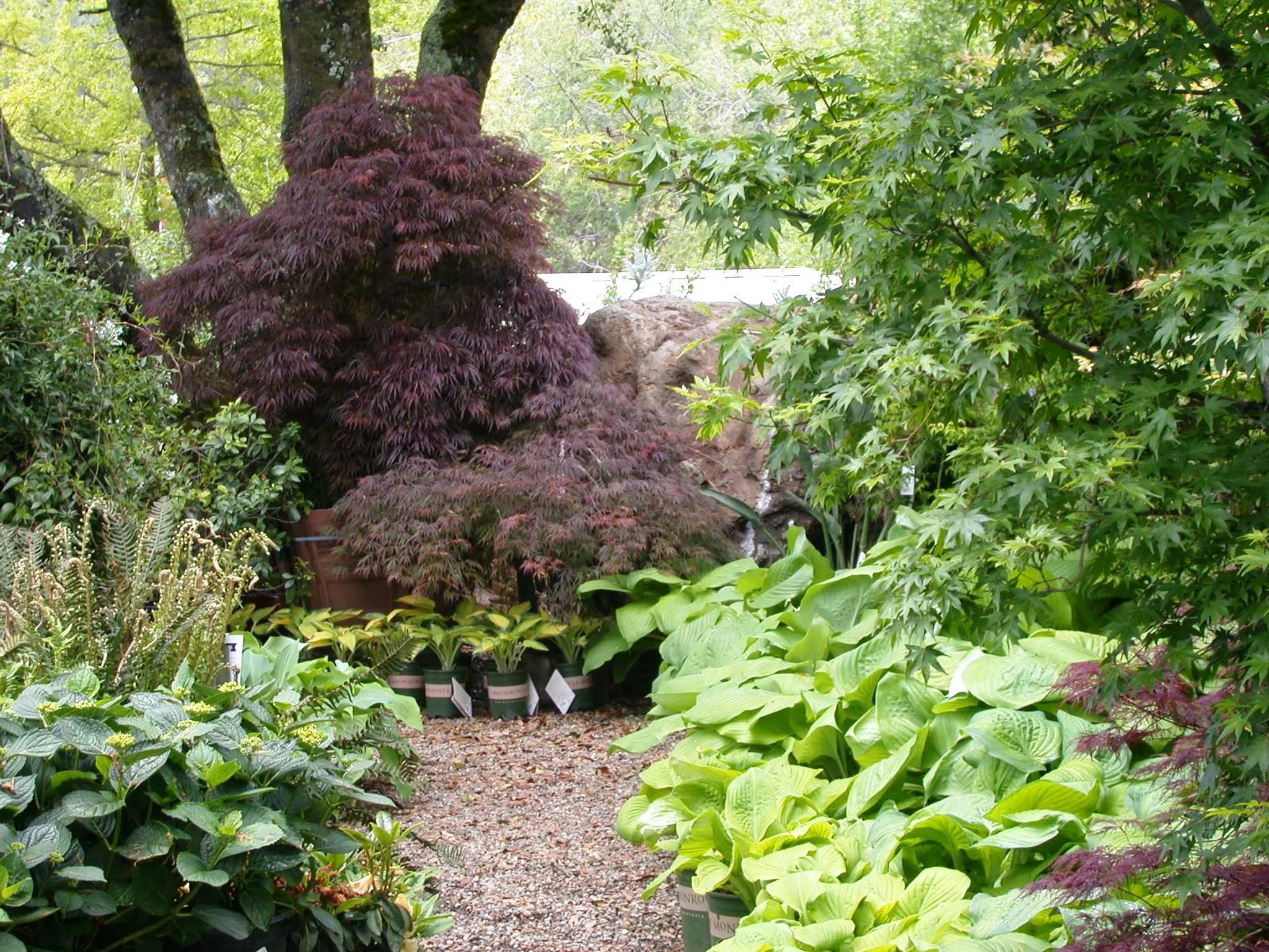 El Dorado Nursery — About Us