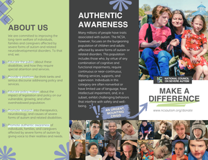 National Council on Severe Autism