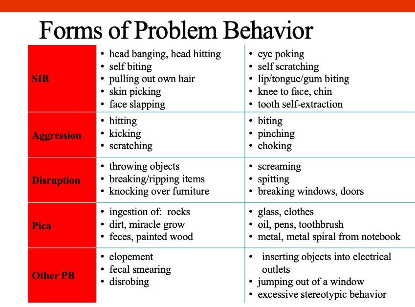 National Council on Severe Autism