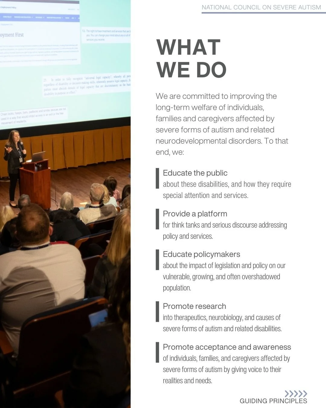 National Council on Severe Autism