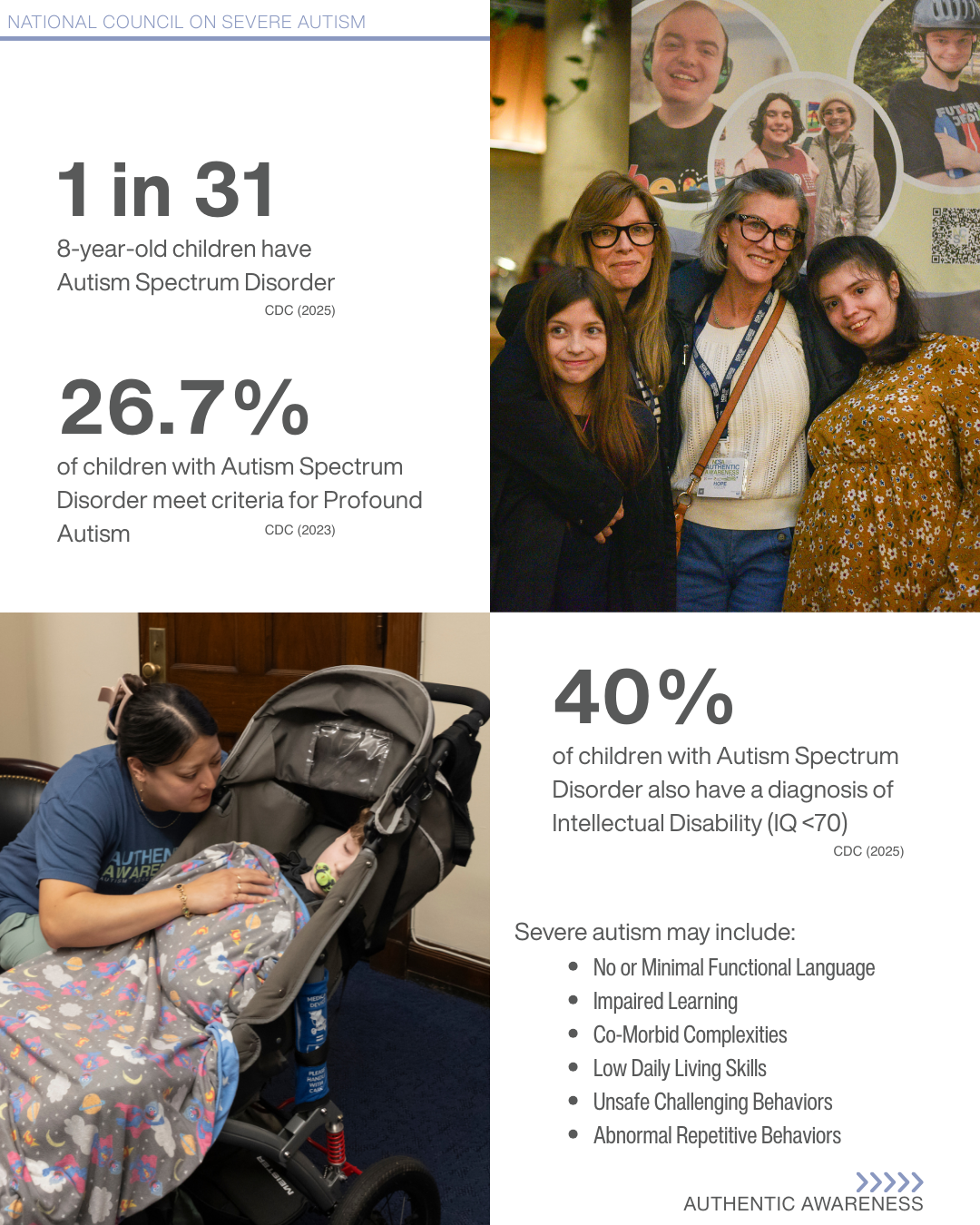 National Council on Severe Autism