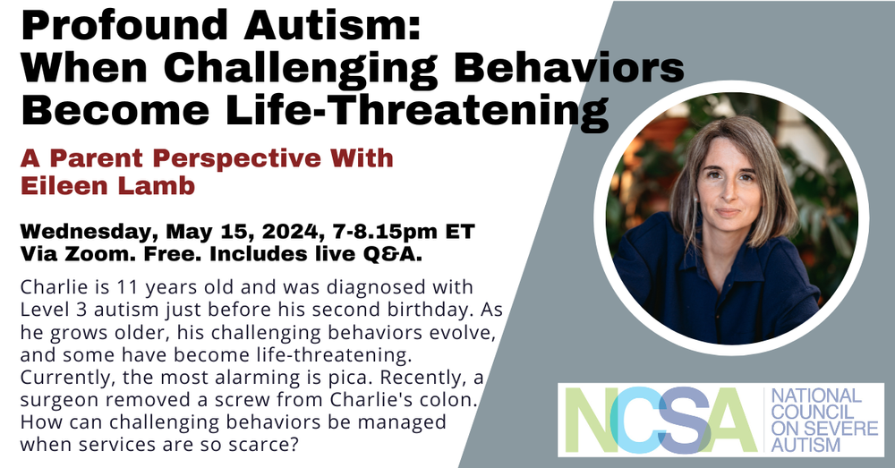 Webinars — NCSA