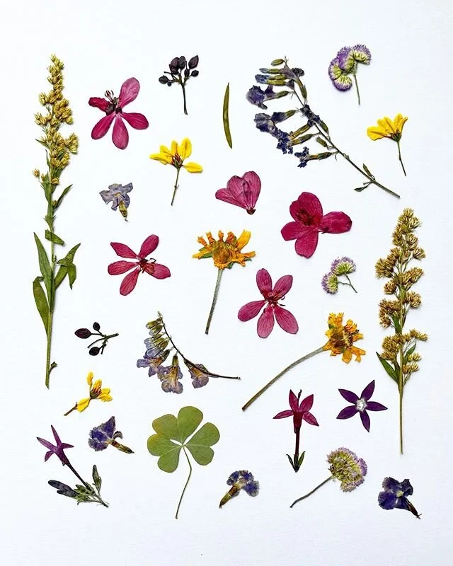 Nancy Moy Calligraphy