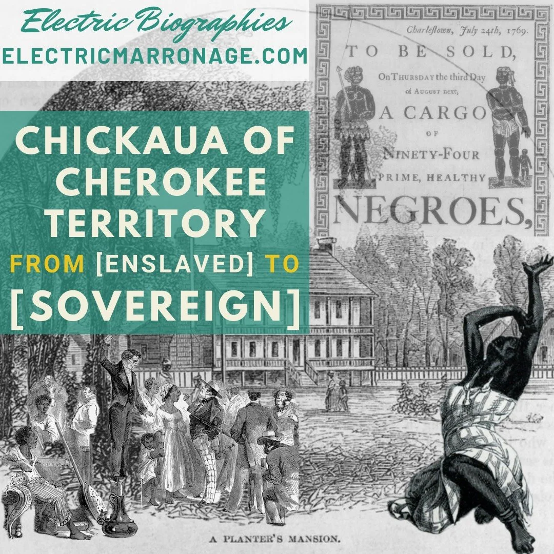 Maroons, Insurgents, and Enslaved Peoples — [Taller] Electric Marronage