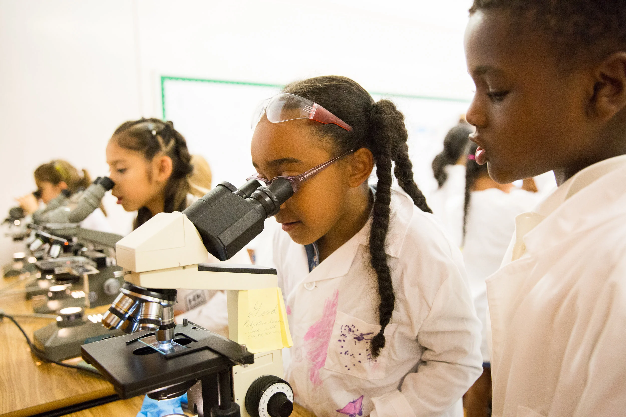 HYPOTHEkids STEM Programs in NYC
