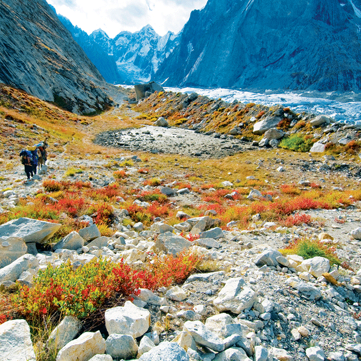 KALE BLAZER — JASON SHISKOWSKY