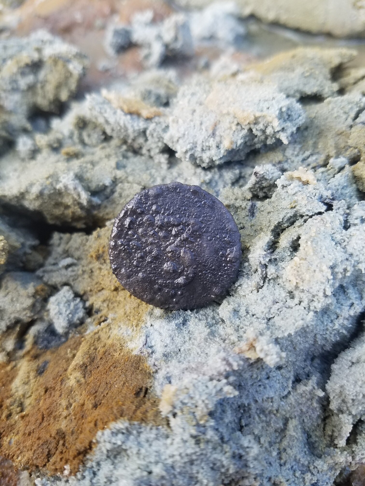 Revolutionary War Best Finds: American — Patriot Relics