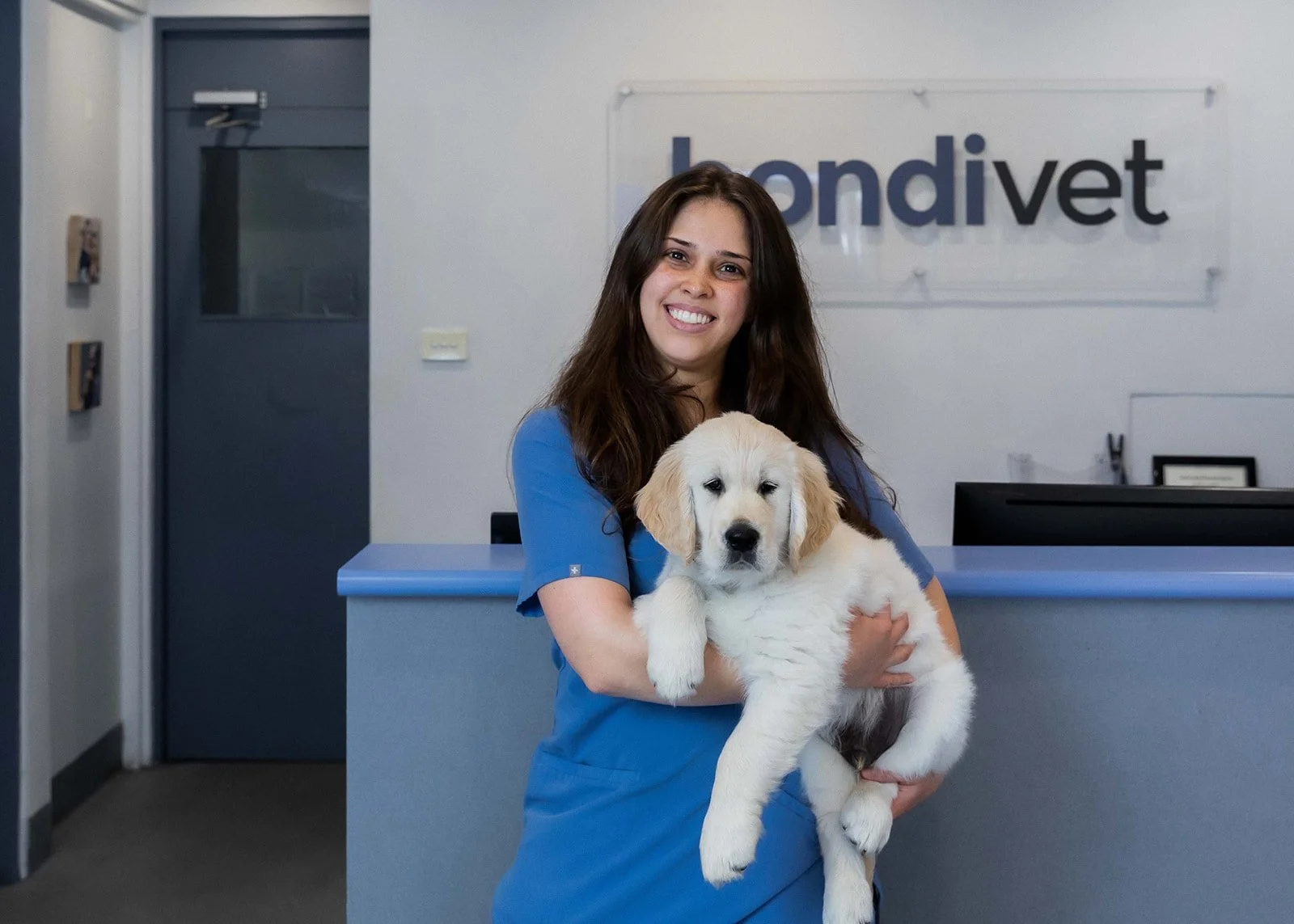 About — Bondi Vet Hospital