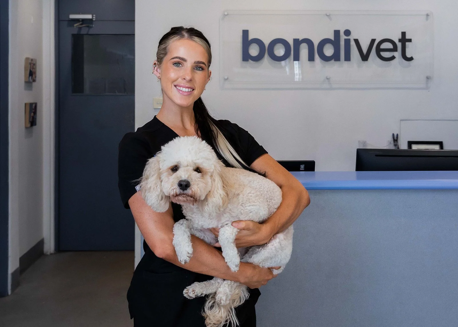 About — Bondi Vet Hospital