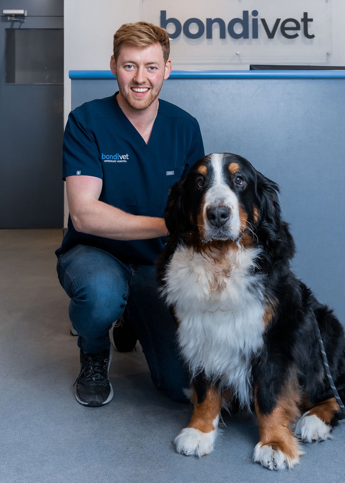 About — Bondi Vet Hospital