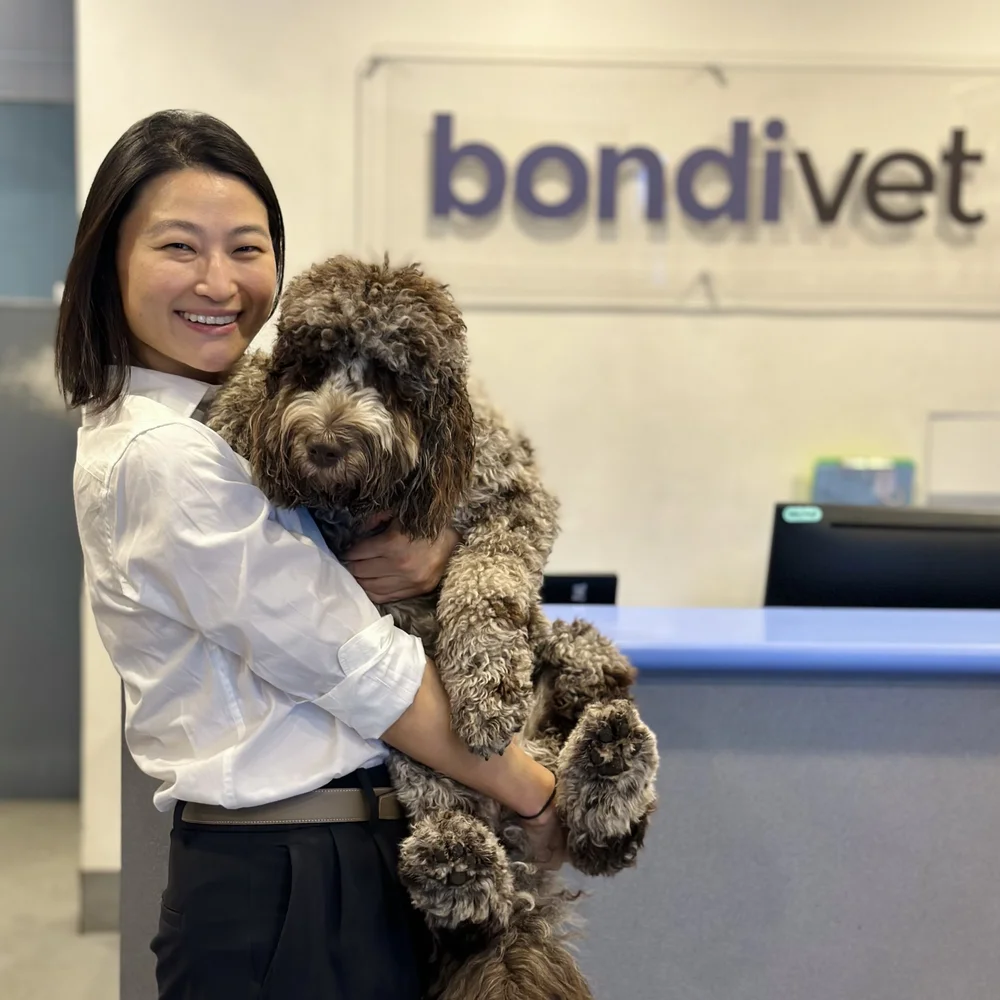 About — Bondi Vet Hospital