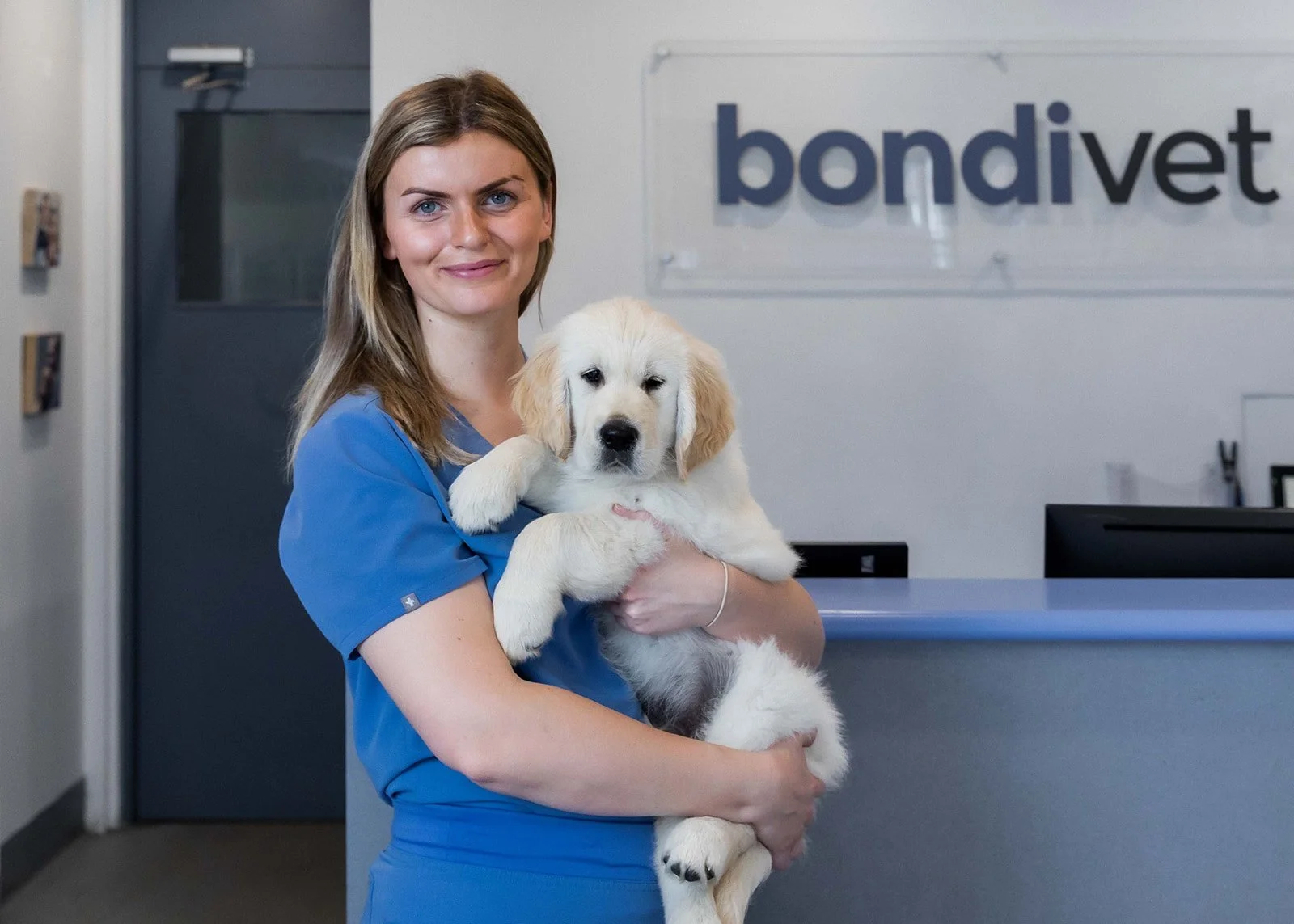 About — Bondi Vet Hospital