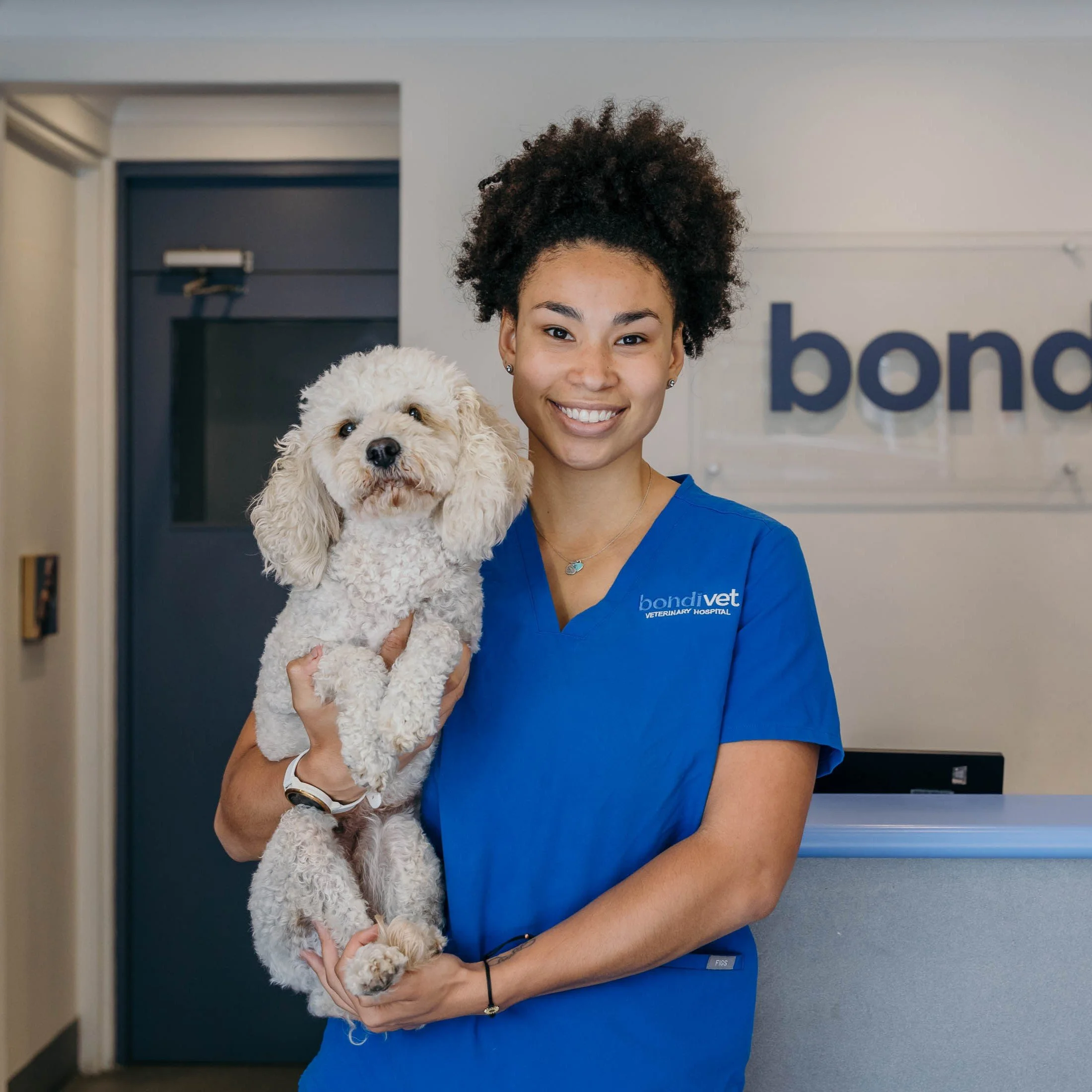 About — Bondi Vet Hospital