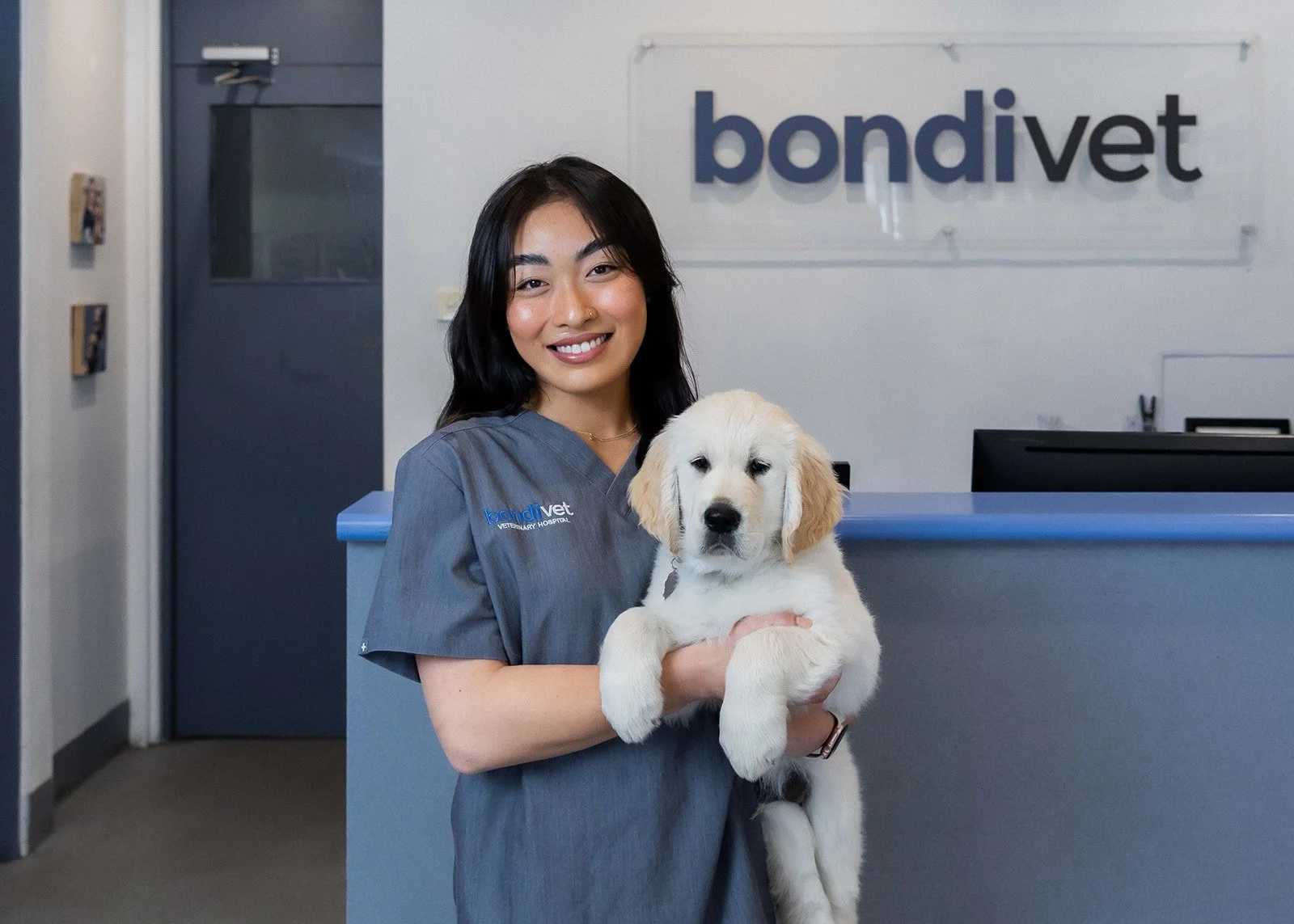 About — Bondi Vet Hospital