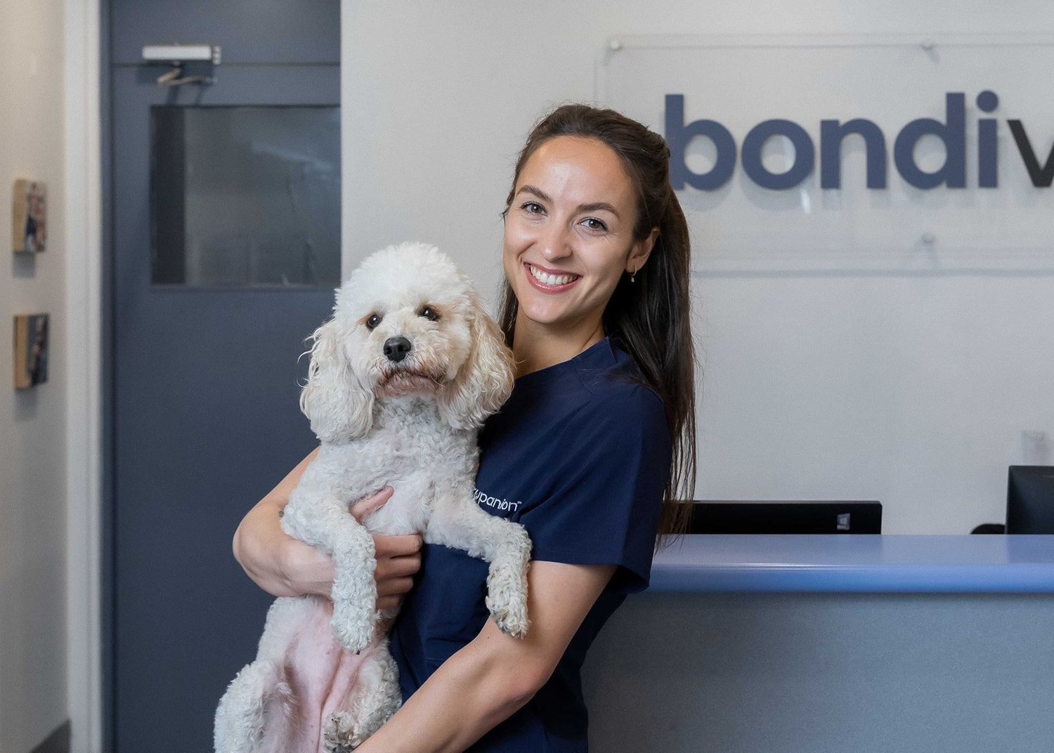About — Bondi Vet Hospital