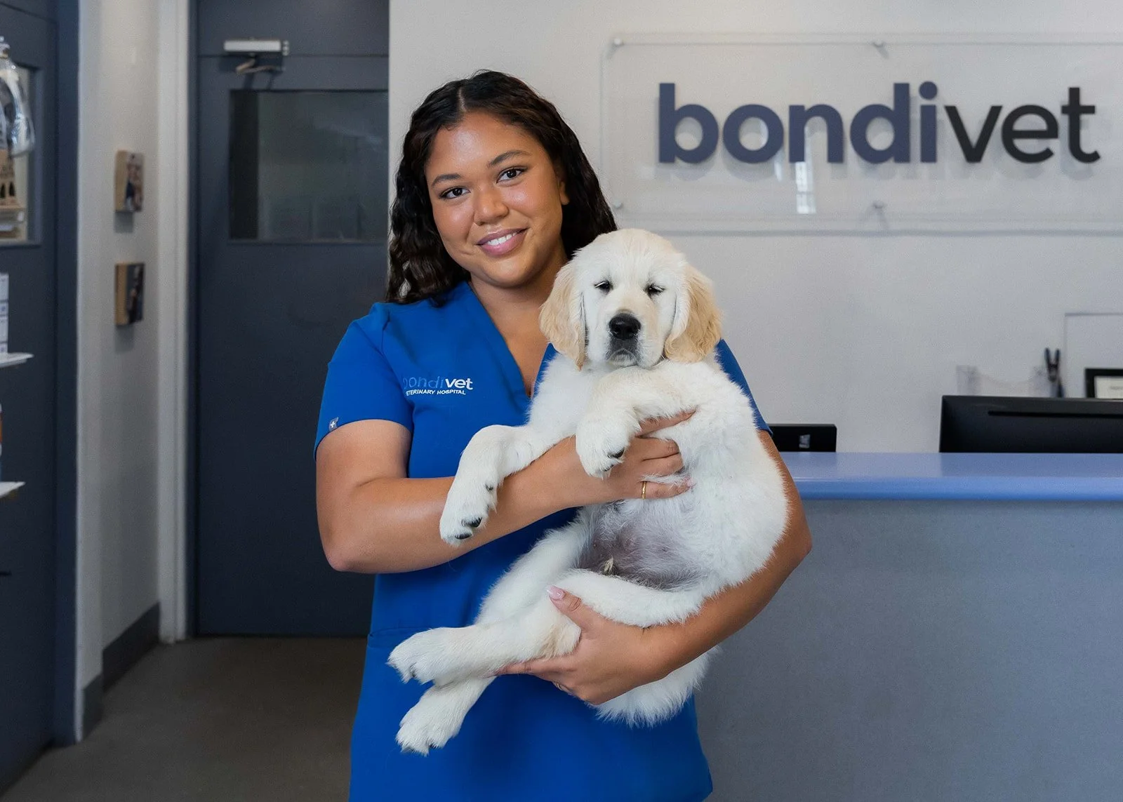 About — Bondi Vet Hospital