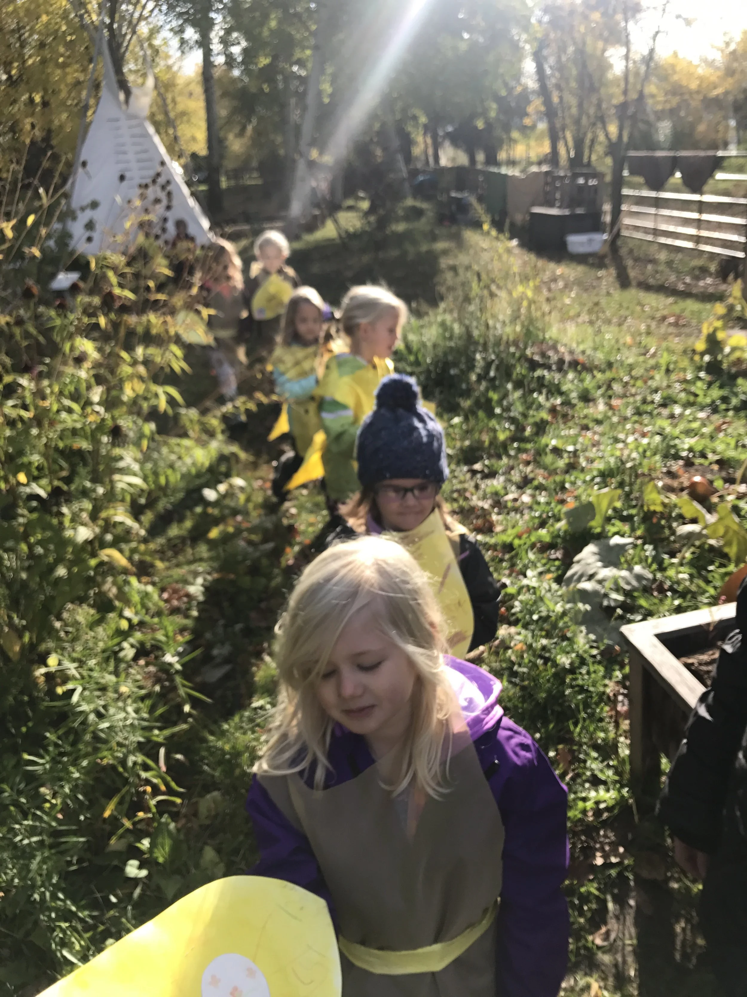 Summer Camps, Birthday Parties, and Field Trips — Apple Blossom Bemidji