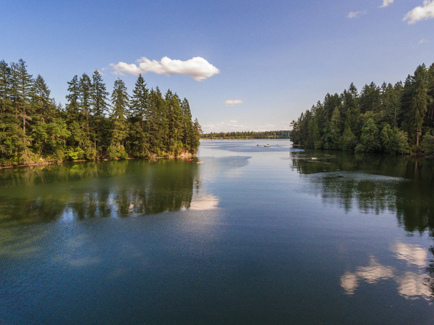 Grapeview Waterfront — Nancy Klinck