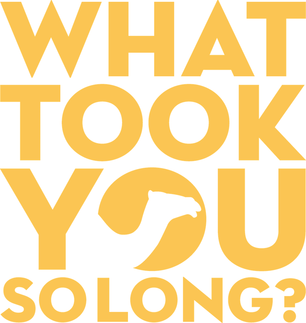 What Took You So Long?