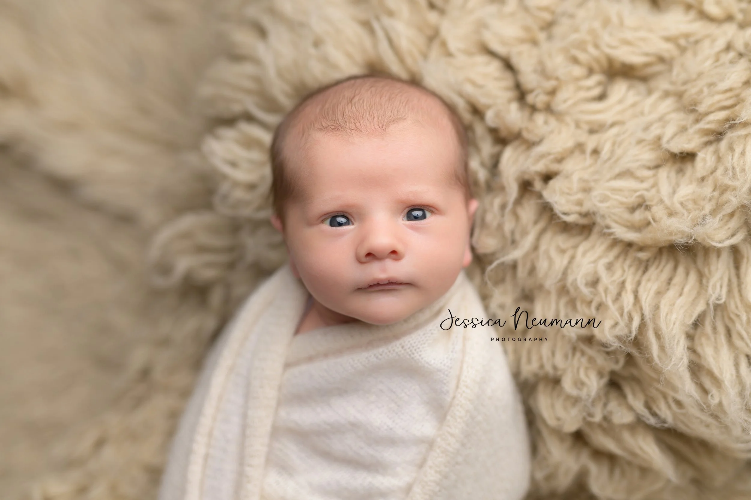 Frederick MD Photographer | Jessica Neumann Photography: Family ...